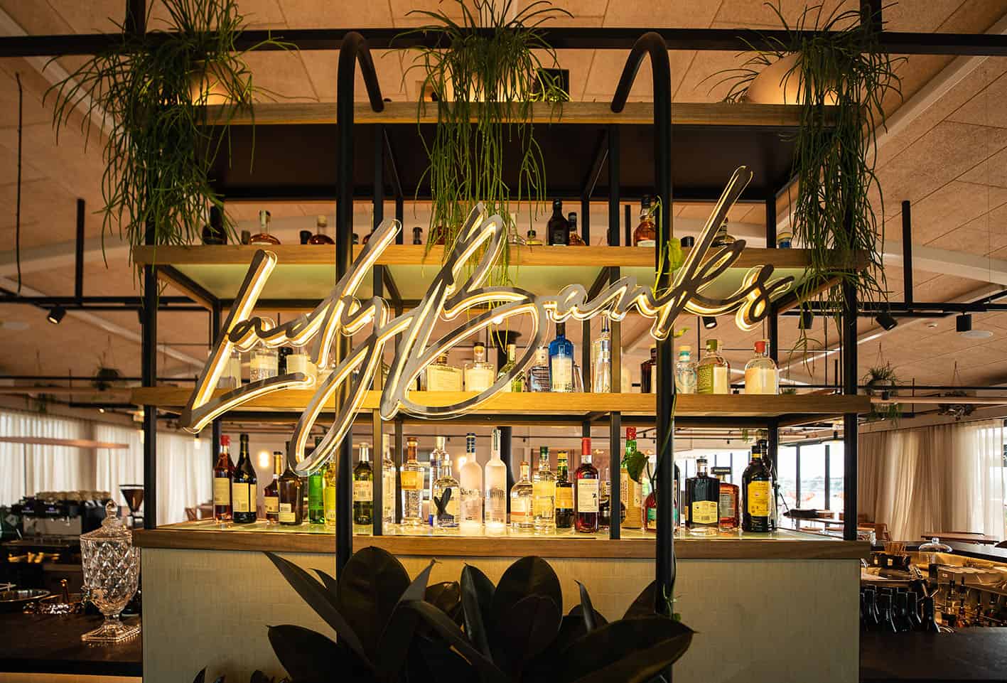 New rooftop bar at one of Australia’s top clubs - Paynter Dixon